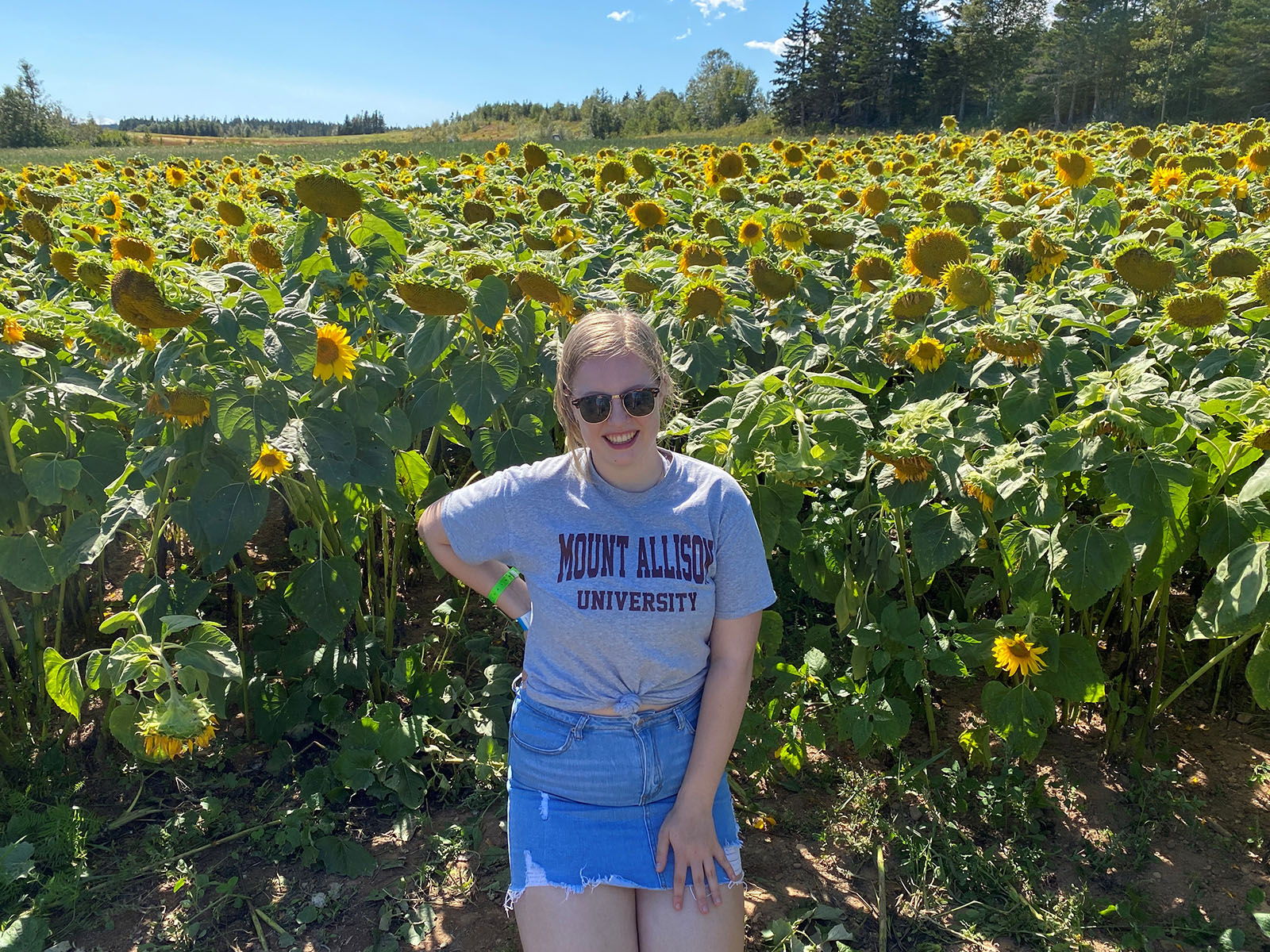 Day camps | Mount Allison