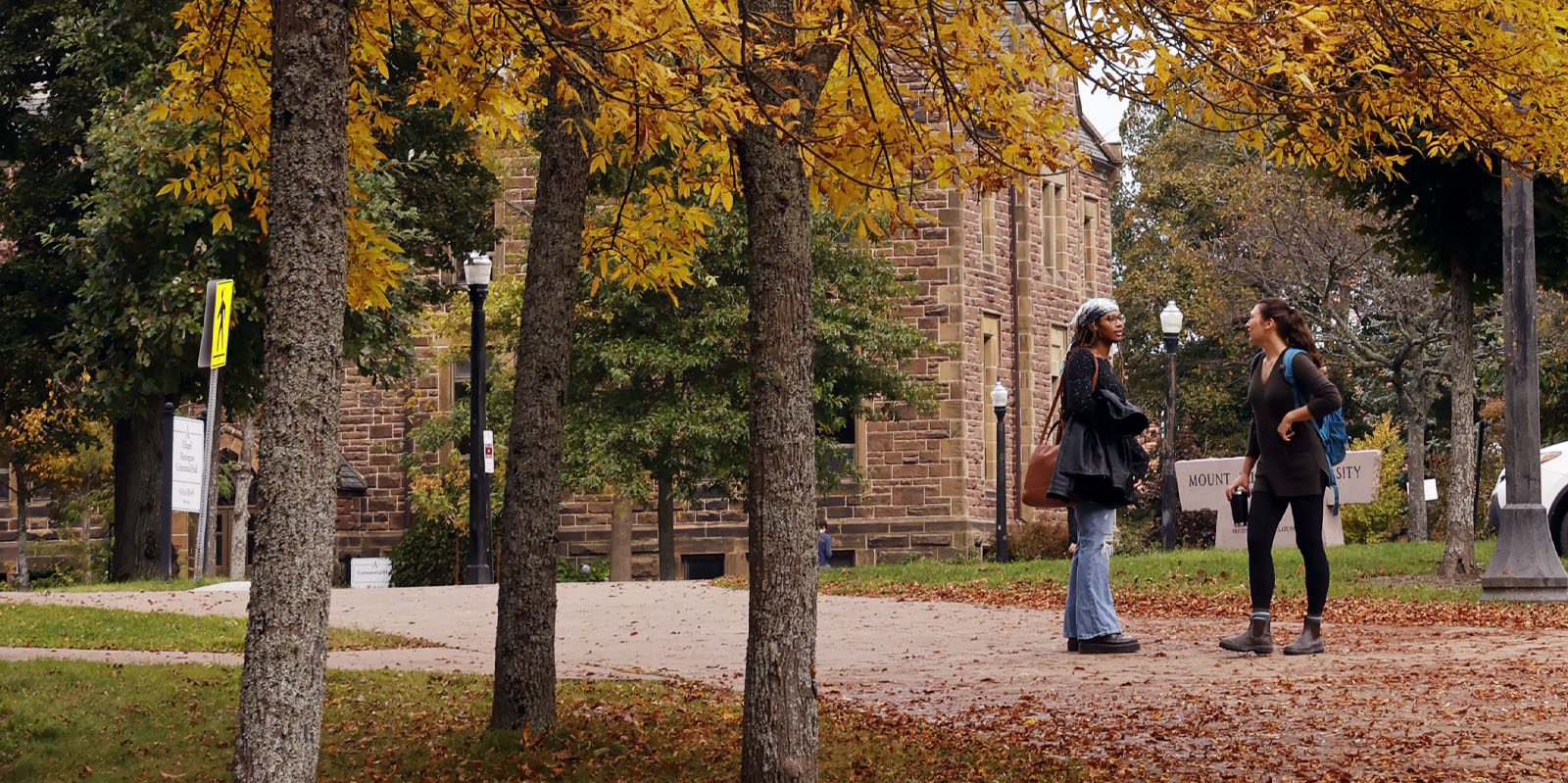 Study at Canada's Top Undergraduate University | Mount Allison